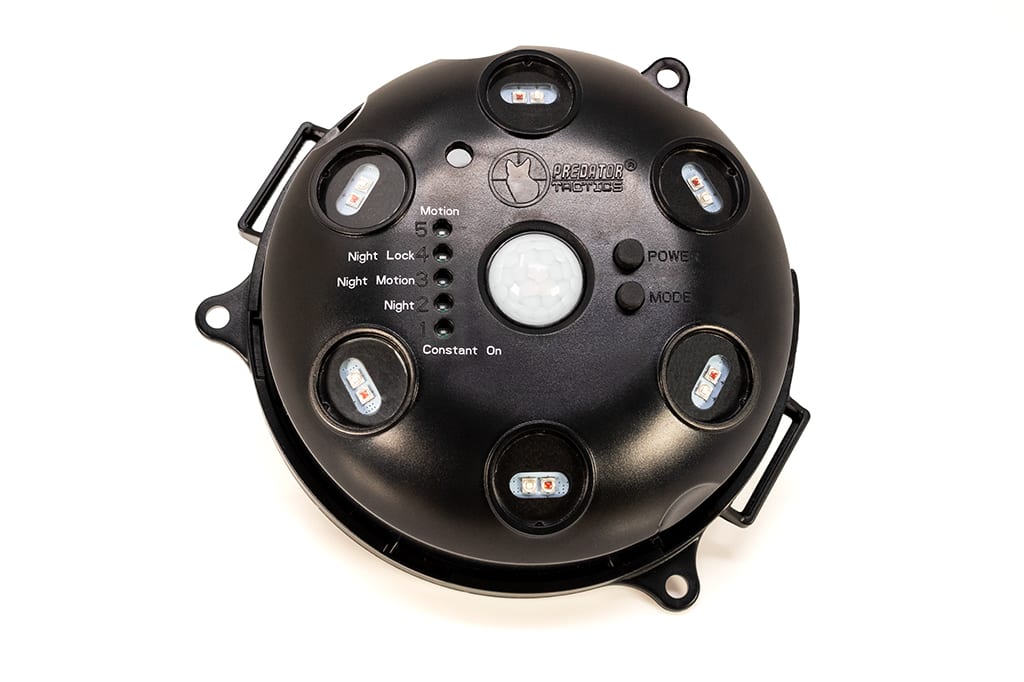 Owl Eye Hog Feeder Light - Hog Hunting | Predator Tactics